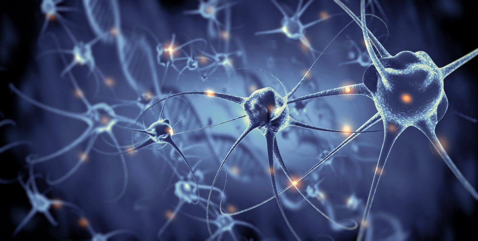 Rewiring your brain - Boost Neuroplasticity