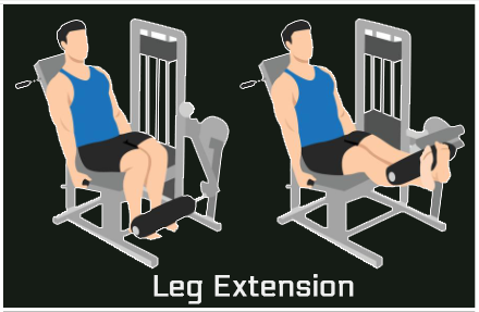 STRENGTH BUILDER: Enhancing your sessions with lower body exercises ...